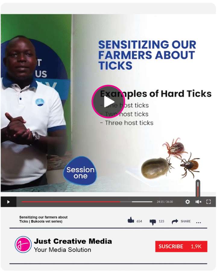 Just Creative Media – Your Media Solution