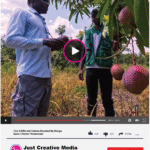 Just Creative Media – Your Media Solution
